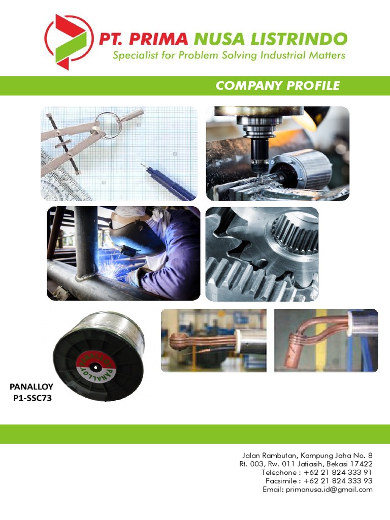 Company Profile PNL 2019 - rEV4 | PDF