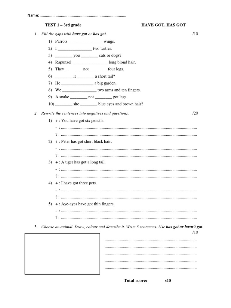Test 1 2 Have Got Has Got | PDF