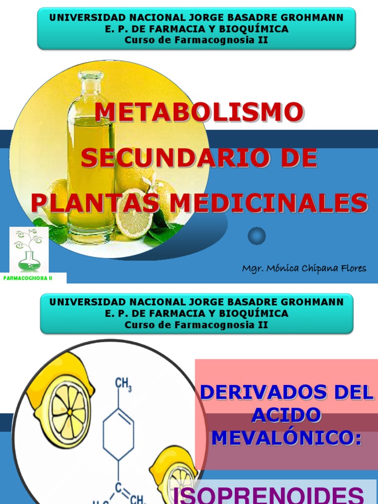 1 A Terpenos Aceites Esenciales 2017 Pdf Pdf Aceite Esencial Química