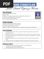 Curriculum - Modelo de Curriculum Venezuela 2014 | PDF | Crecimiento ...
