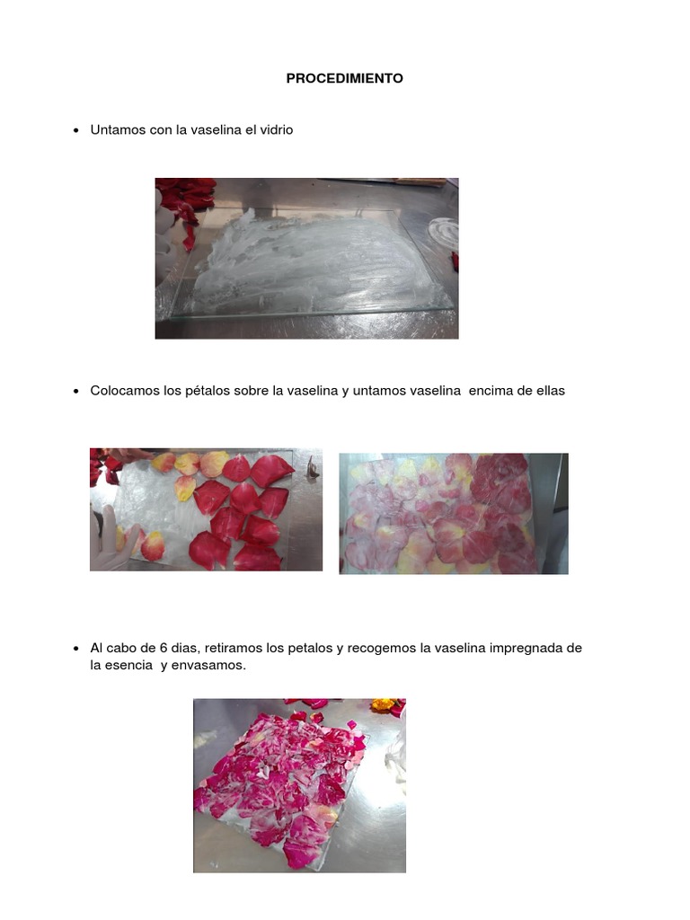 Elaboración de Perfume en Crema Fito Cosmético | PDF