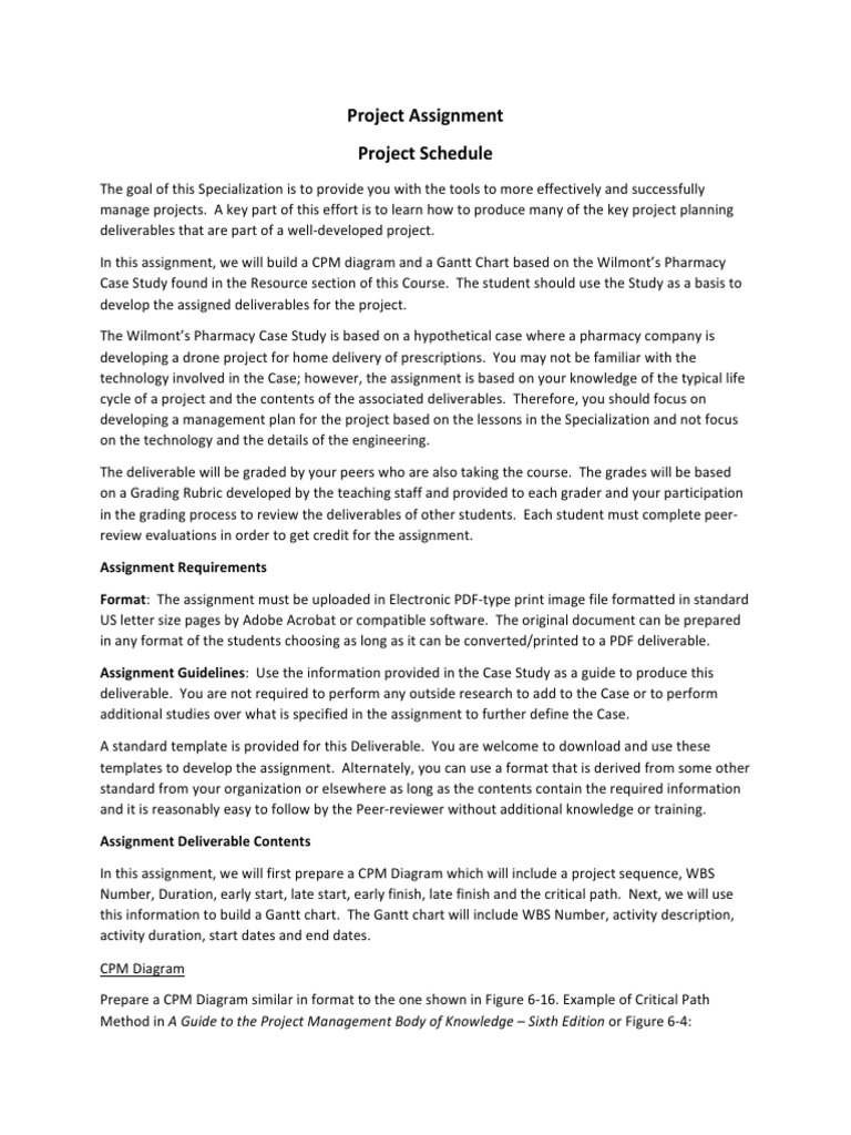 Project Assignment | PDF | Project Management | Computing