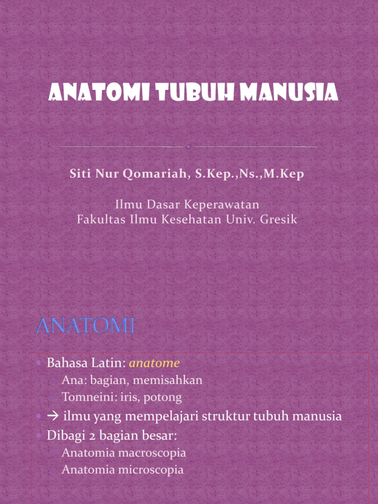Struktur dan Terminologi Anatomi Manusia | PDF | Sains & Matematika