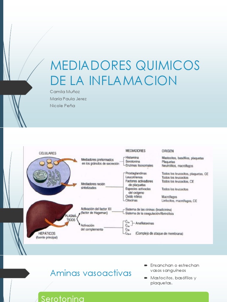 mediadores de la inflamacion.pptx | Sistema complementario | Inflamación