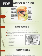 Optic Foramen Radiographic Overview | PDF