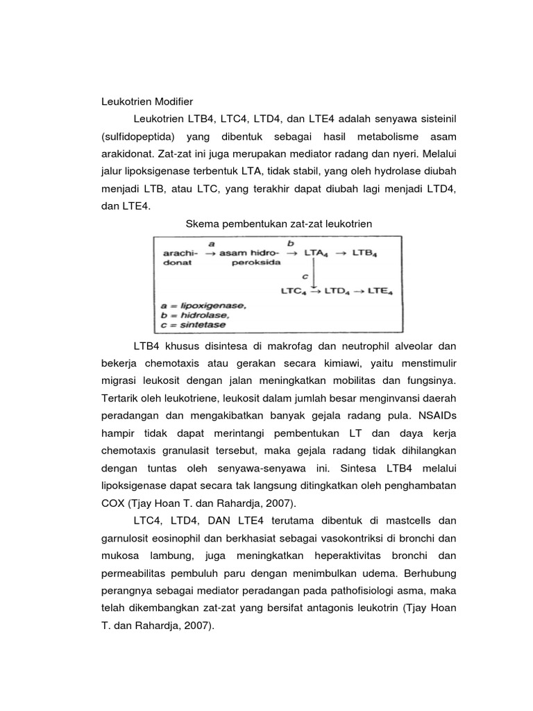 Leukotrien: Peran dan Penghambatannya | PDF