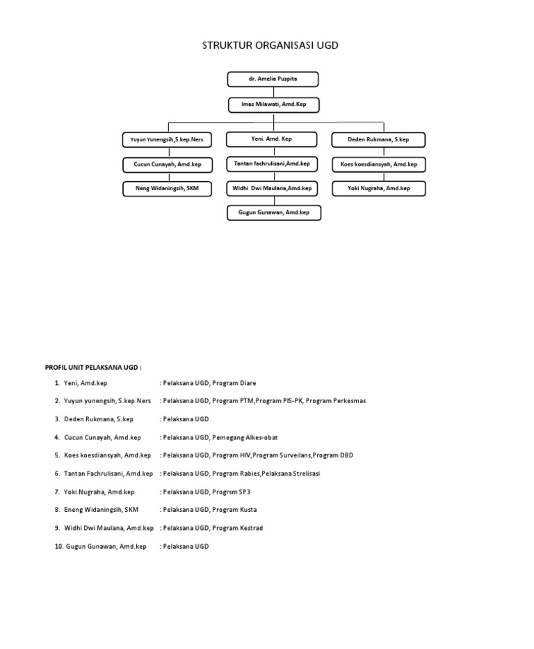 Struktur Organisasi Ugd | PDF