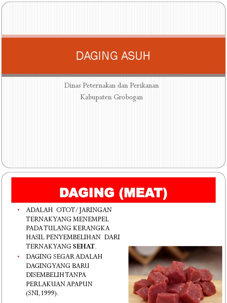 DAGING ASUH Rev | PDF