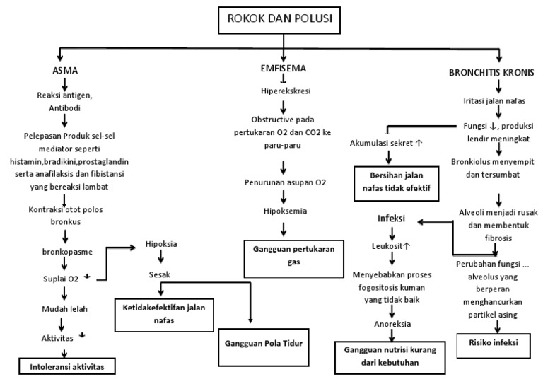 Pathway Rokok Dan Polusi | PDF