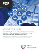EGA - SafetyRules - Specific Posters 9 Kind | PDF | Driving Under The ...