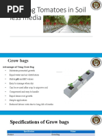 Covo Rugare Gold PLUS | PDF | Fertilizer | Seed