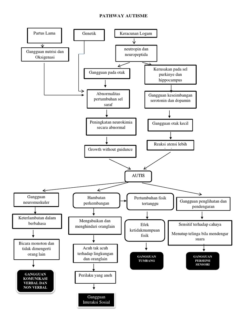 Pathway Autisme | PDF
