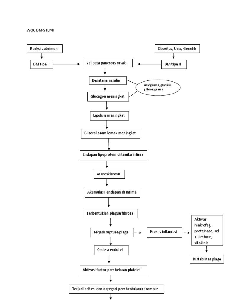 Woc DM Stemi Ok | PDF