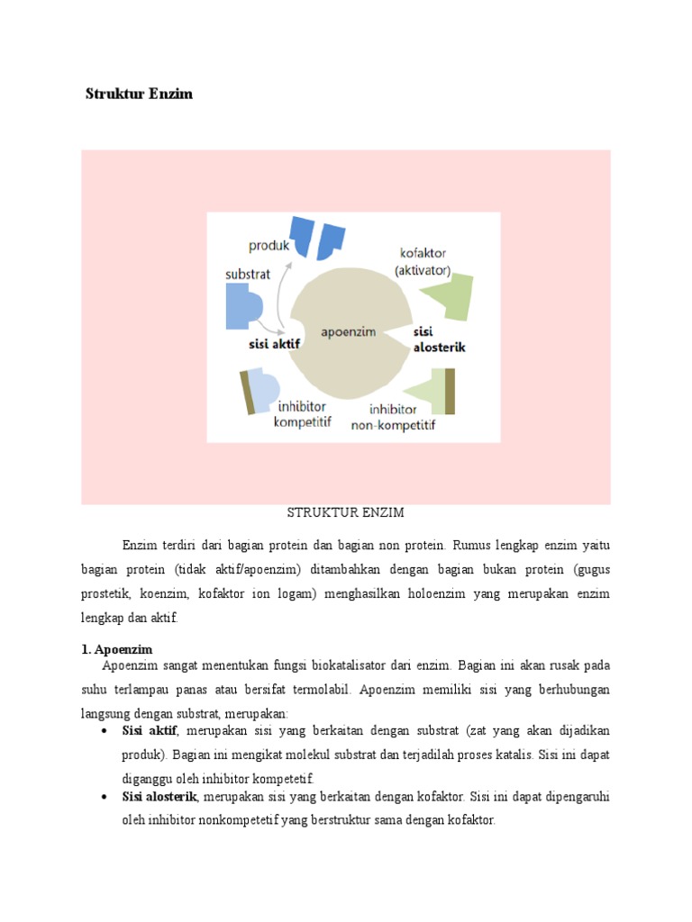 Struktur Enzim | PDF