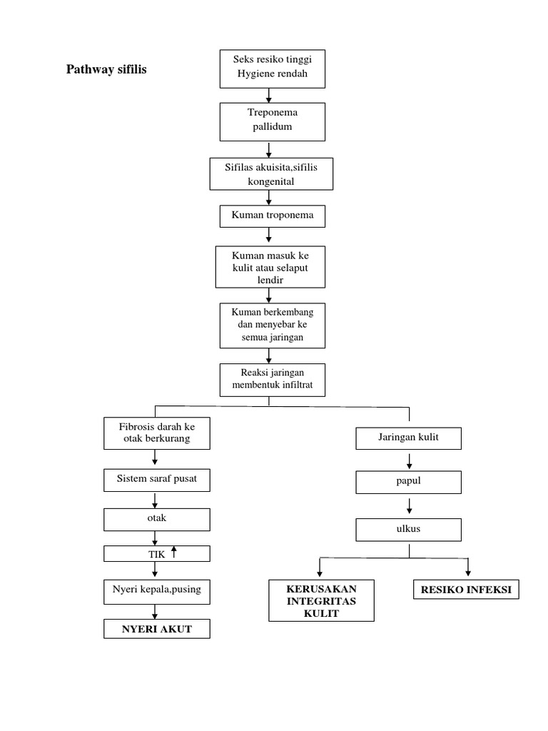Pathway Sifilis Tias | PDF