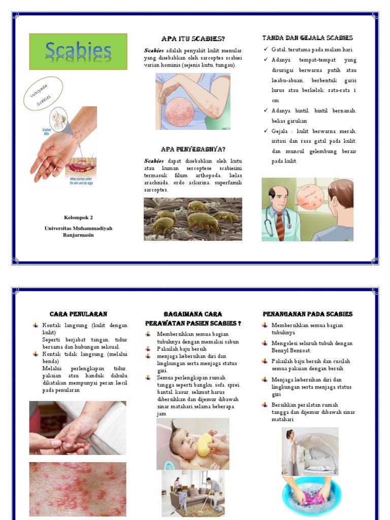 Leaflet Scabies | PDF