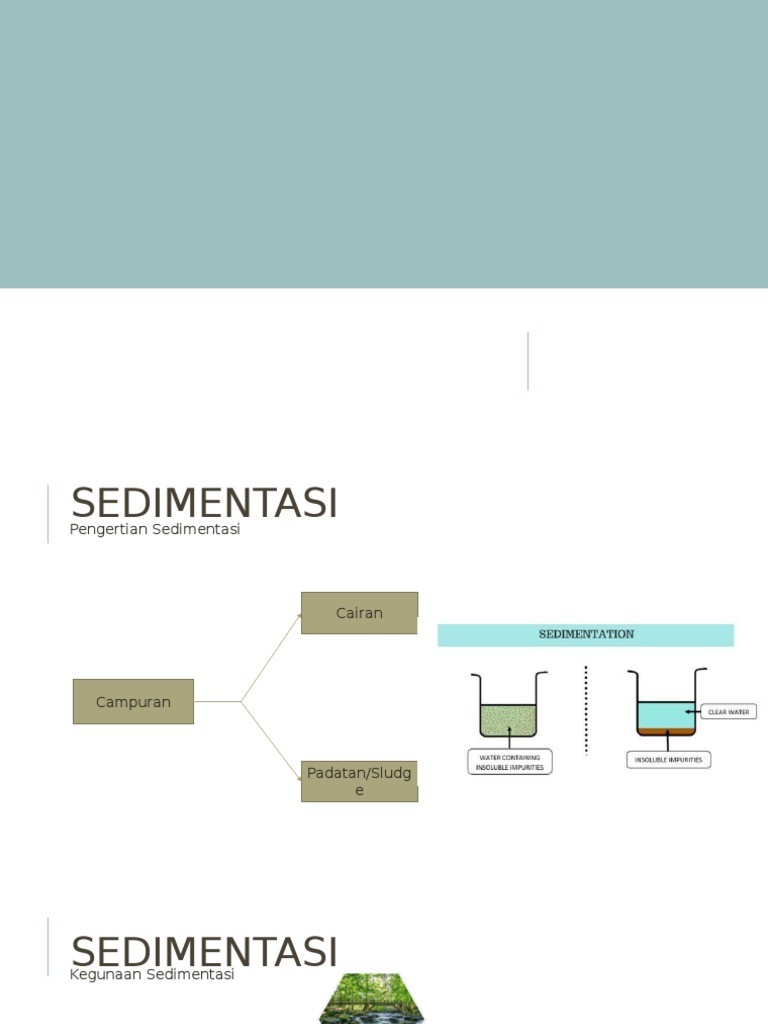 Sedimentasi | PDF