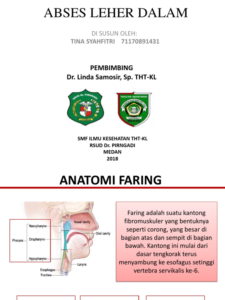 Abses Leher Dalam | PDF