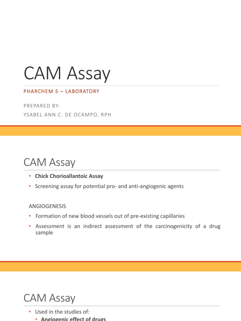 CAM Assay | PDF | Angiogenesis | Biology