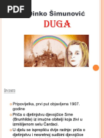 Analiza Duga Lektira | PDF