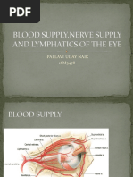 Cow Eye Dissection Lab Report | PDF | Eye | Human Eye