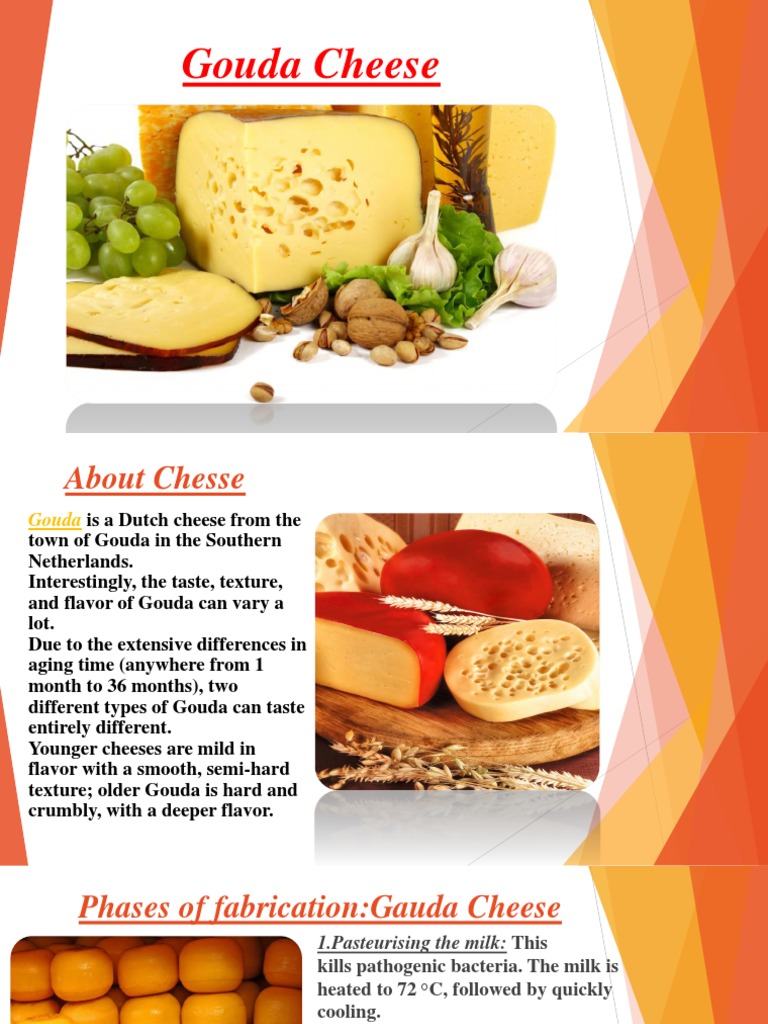 Understanding Gouda Cheese Varieties | PDF