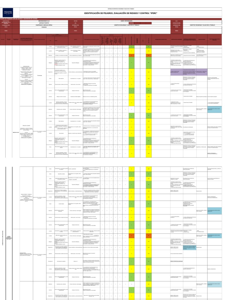 Matriz Iperc | PDF | Bienestar | Medicina
