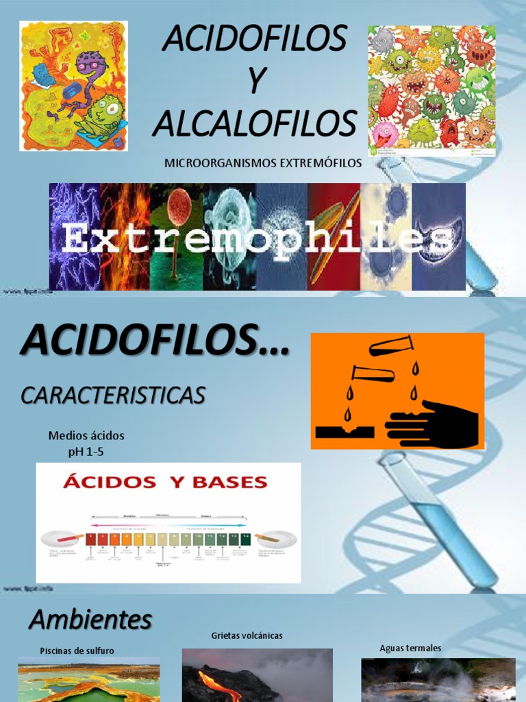 Acidofilos y Alcalifilos | Archaea | Las bacterias