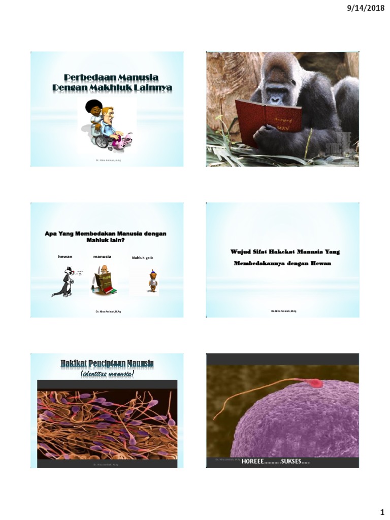 Perbedaan Manusia Dengan Makhluk Lainnya PDF | PDF