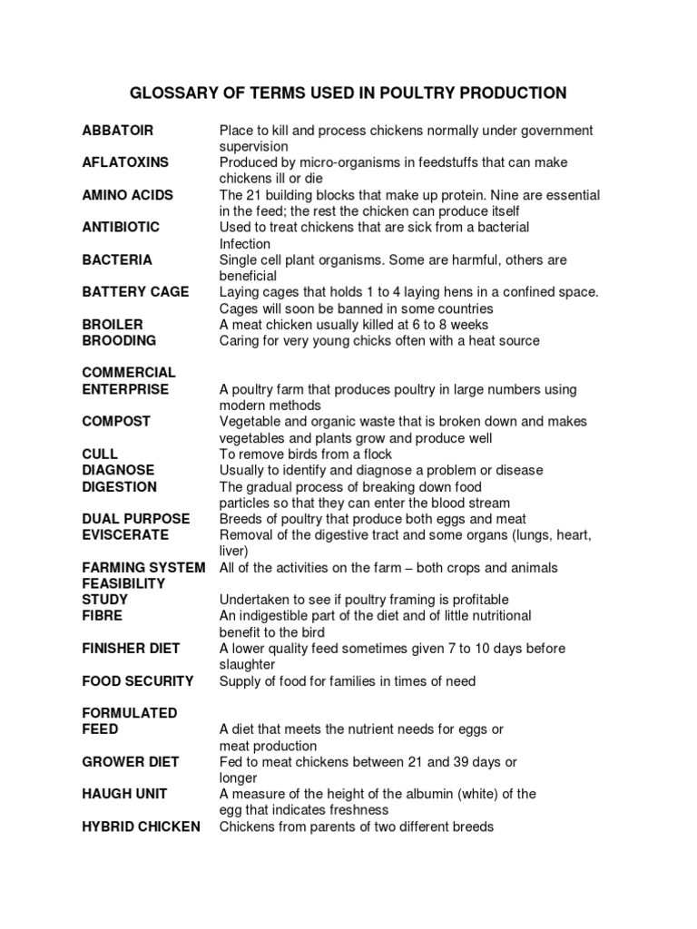 Poultry Production Terminology Glossary | PDF | Poultry Farming | Chicken