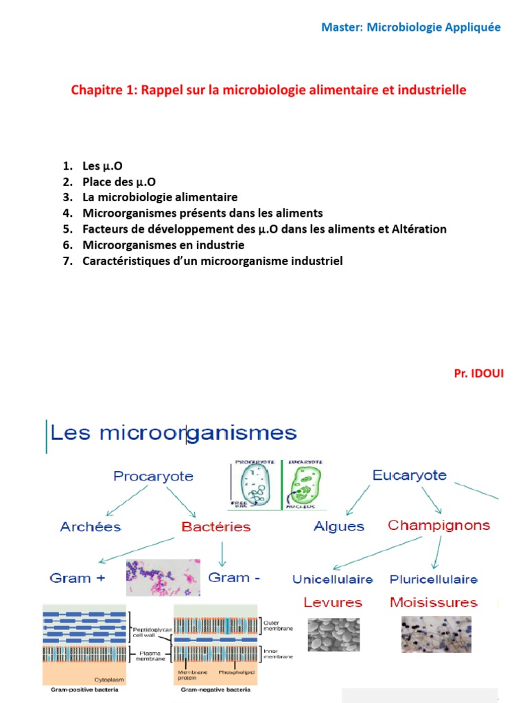 Chap1. Rap. B.al - Ind | PDF | Bactérie | Micro-organisme