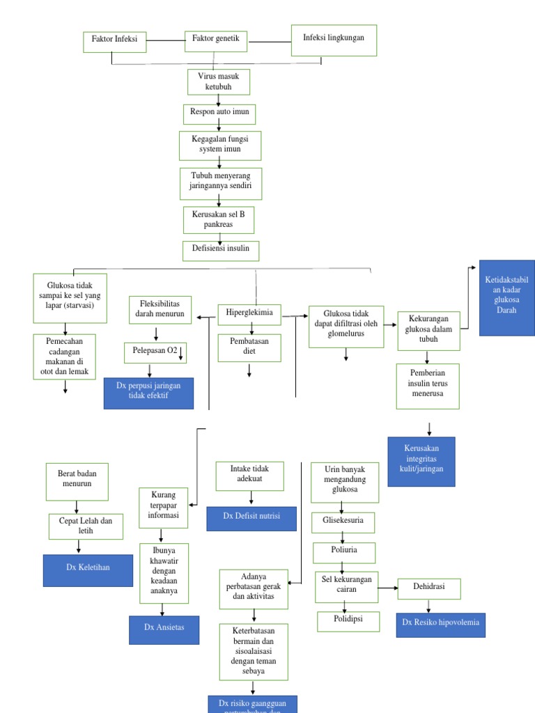Pathway DM Anak KLP 1 | PDF