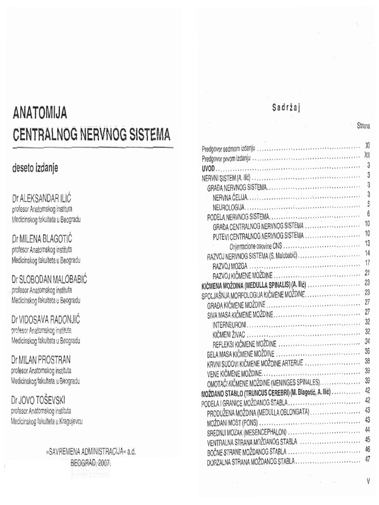 Ilić-Anatomija CNS-a.pdf | PDF