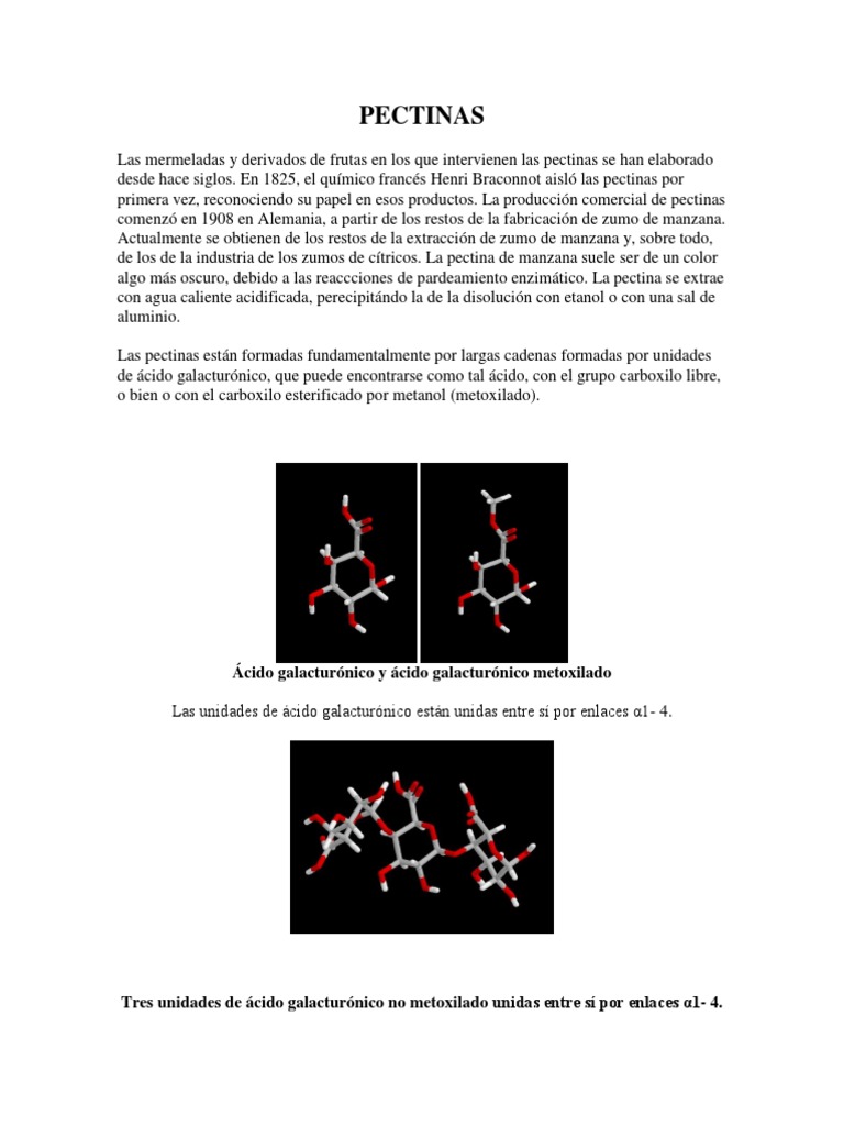 PECTINAS | PDF | Química | Ciencias fisicas