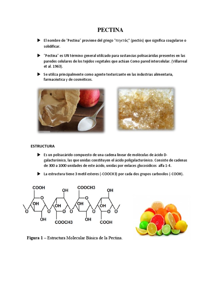 Pectina: Estructura y Usos Principales | PDF | Química | Productos quimicos