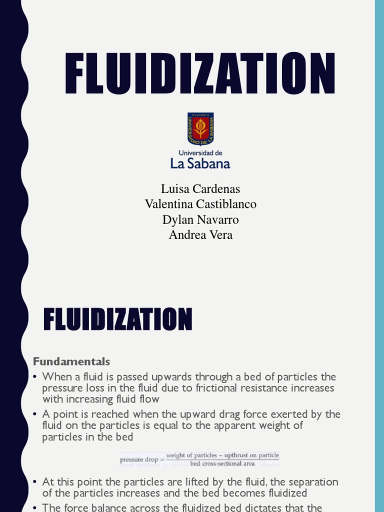 Fluidization | PDF | Fluidization | Gases
