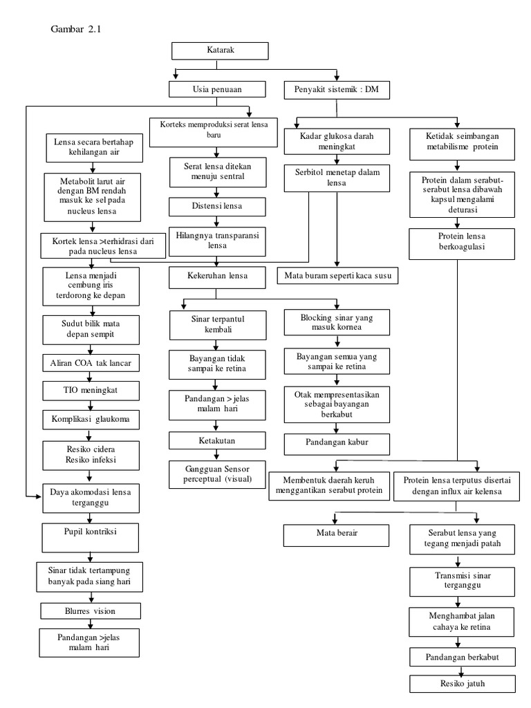 Patofisiologi Katarak PDF | PDF