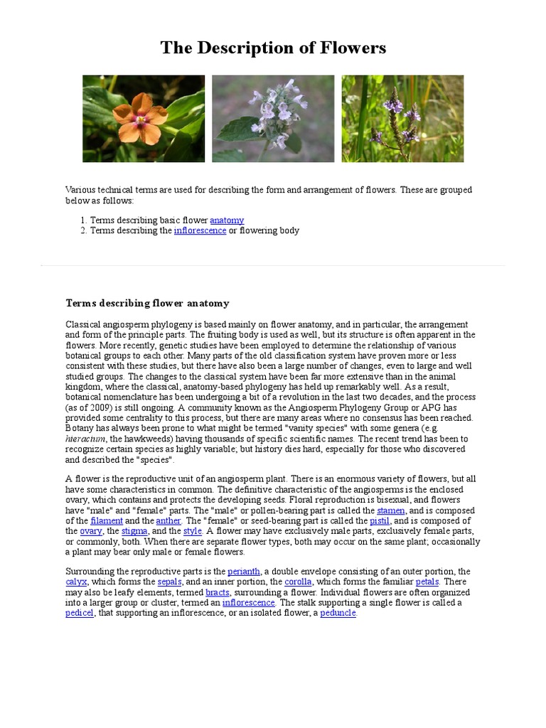 Flower Description Glossary PDF | PDF | Petal | Flowers