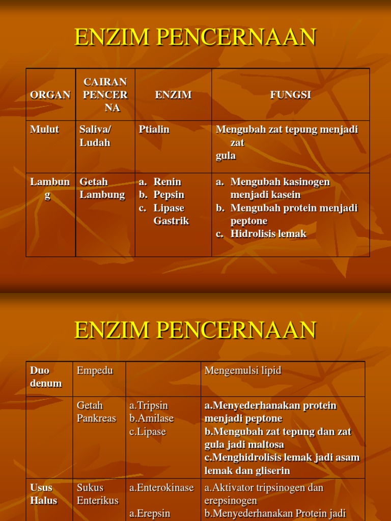 Enzim Pencernaan | PDF