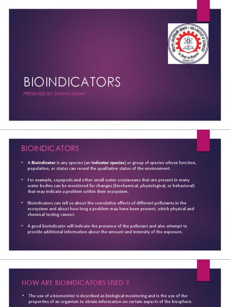 Bioindicators | PDF | Environmental Science | Biology