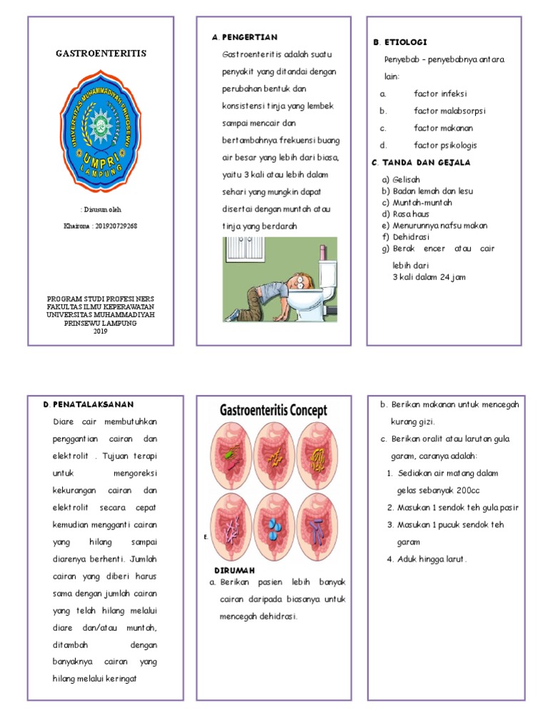 Leaflet Gastroenteritis | PDF
