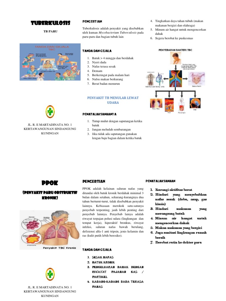 Leaflet Poli Paru | PDF