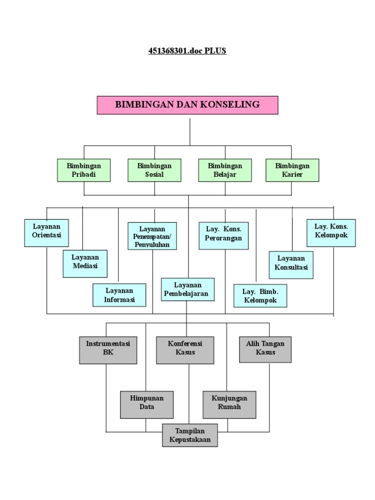 POLA BK 17 Plus | PDF
