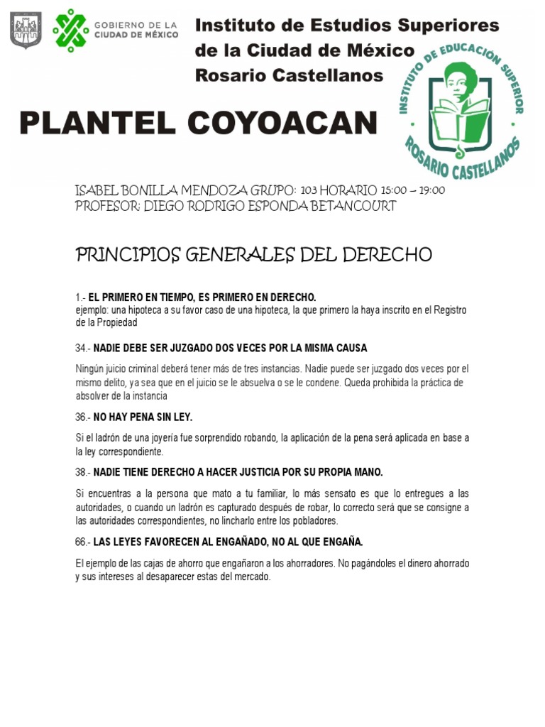 Principios Generales Del Derecho Pdf