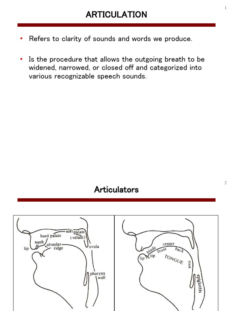 My Report About Articulation | PDF