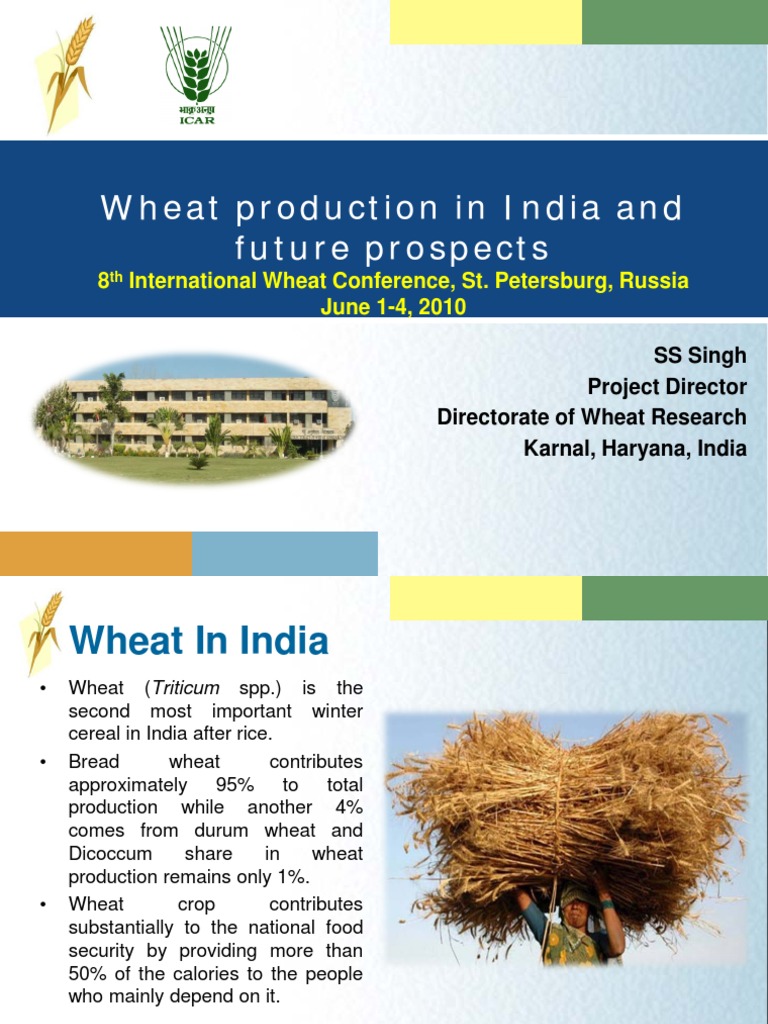 5.wheat Production 8IWC SS Singh | PDF | Wheat | Micronutrient