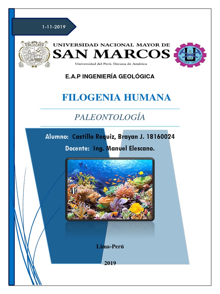 Filogenia Del Hombre | PDF | Evolución | Adn