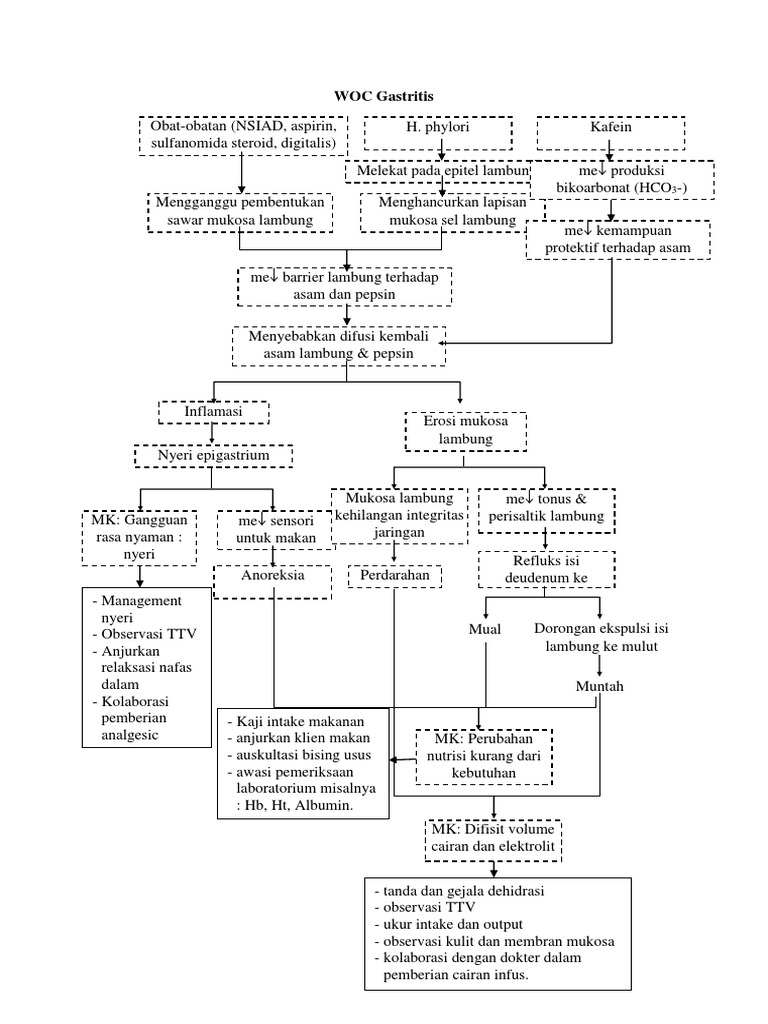 WOC Gastritis | PDF