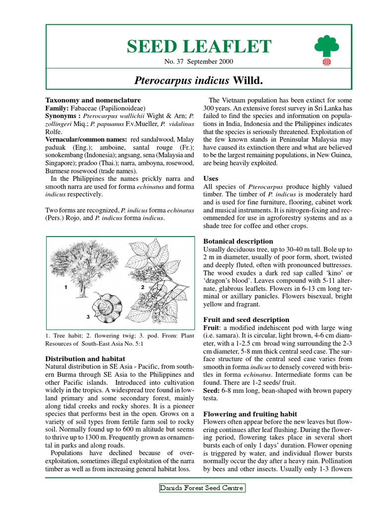Narra Tree: Taxonomy and Uses | PDF | Seed | Plants