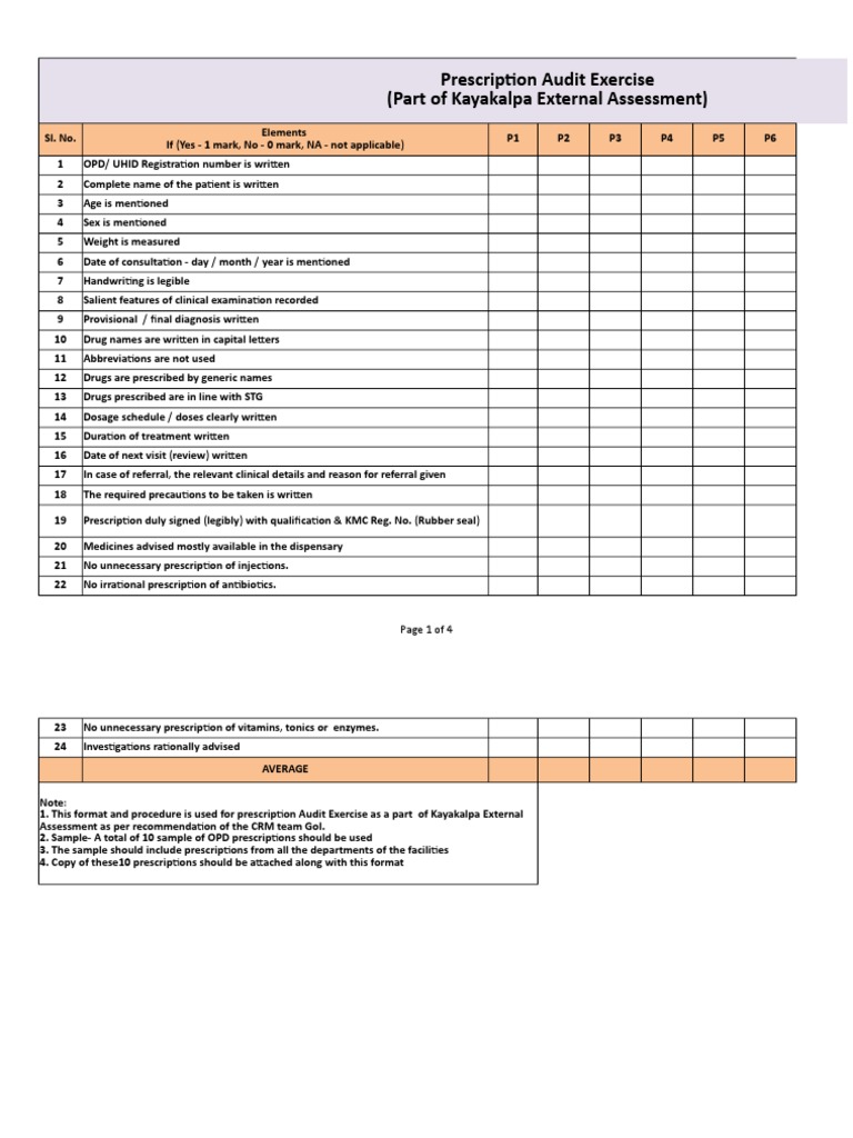 Prescription Audit Excercise | PDF